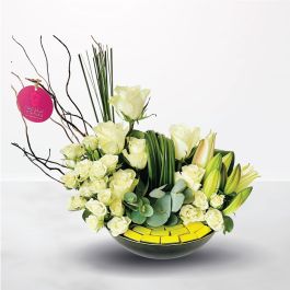 Choco Treat, {{category_name}}, {{category}} - Little Flora